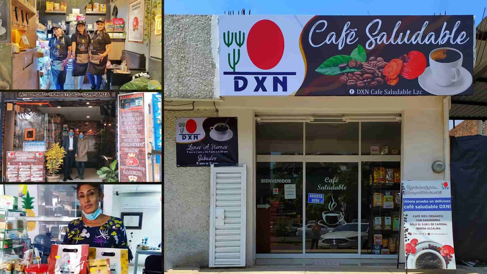 Network Marketing en DXN | ¿Por qué hacer DXN?