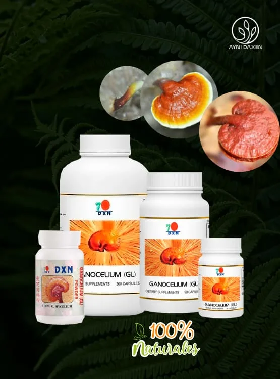 Ganocelium DXN: es el Mycelium del Ganoderma bebé