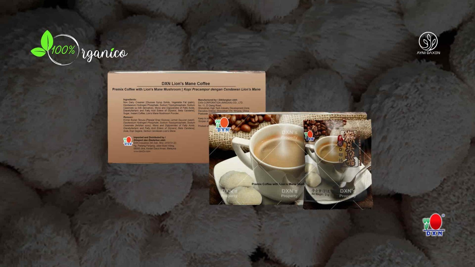 Lion’s Mane Coffee DXN: café con Melena de León, natural