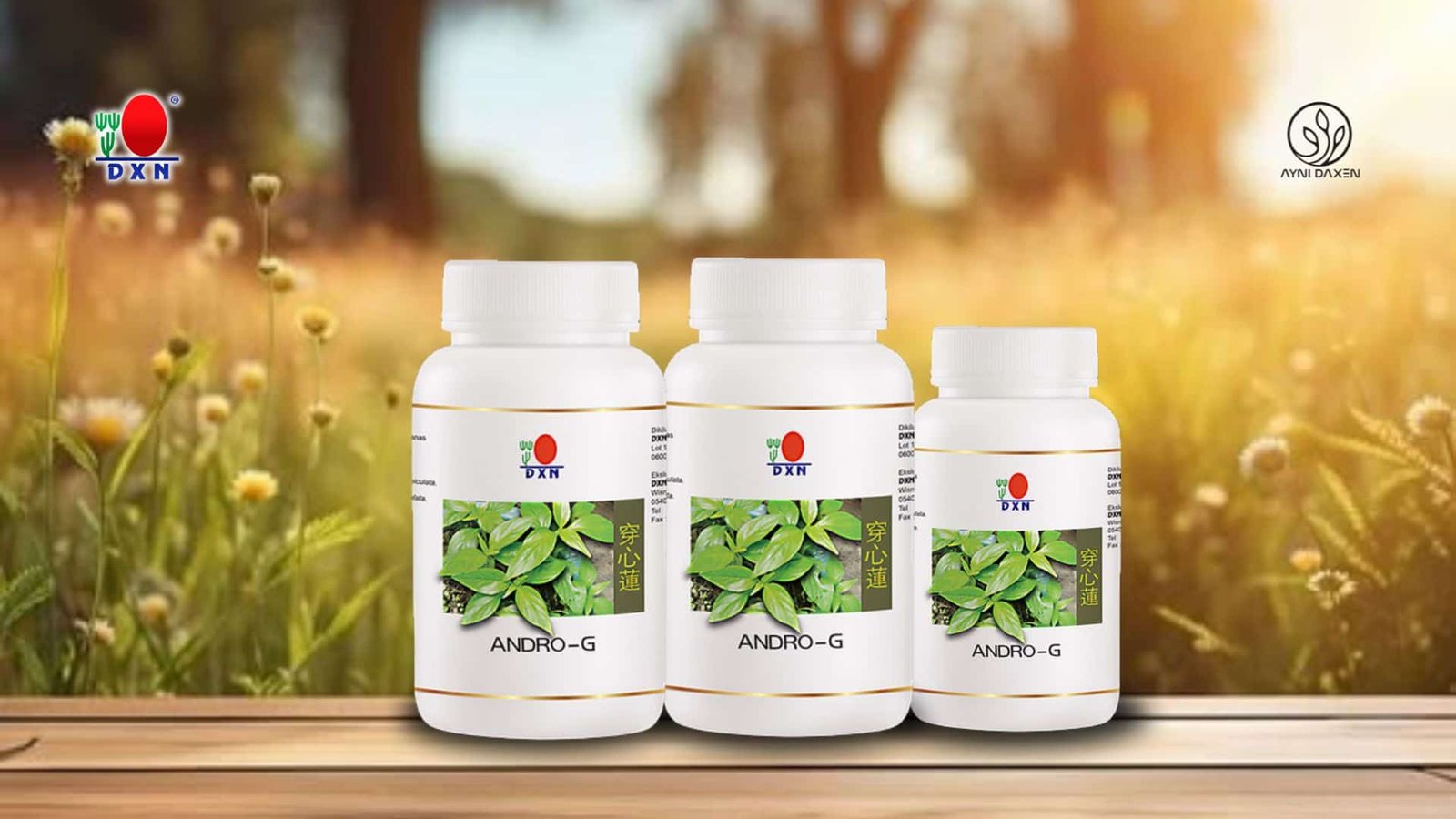 DXN Andro-G: Beneficios, ventajas y para que sirve.
